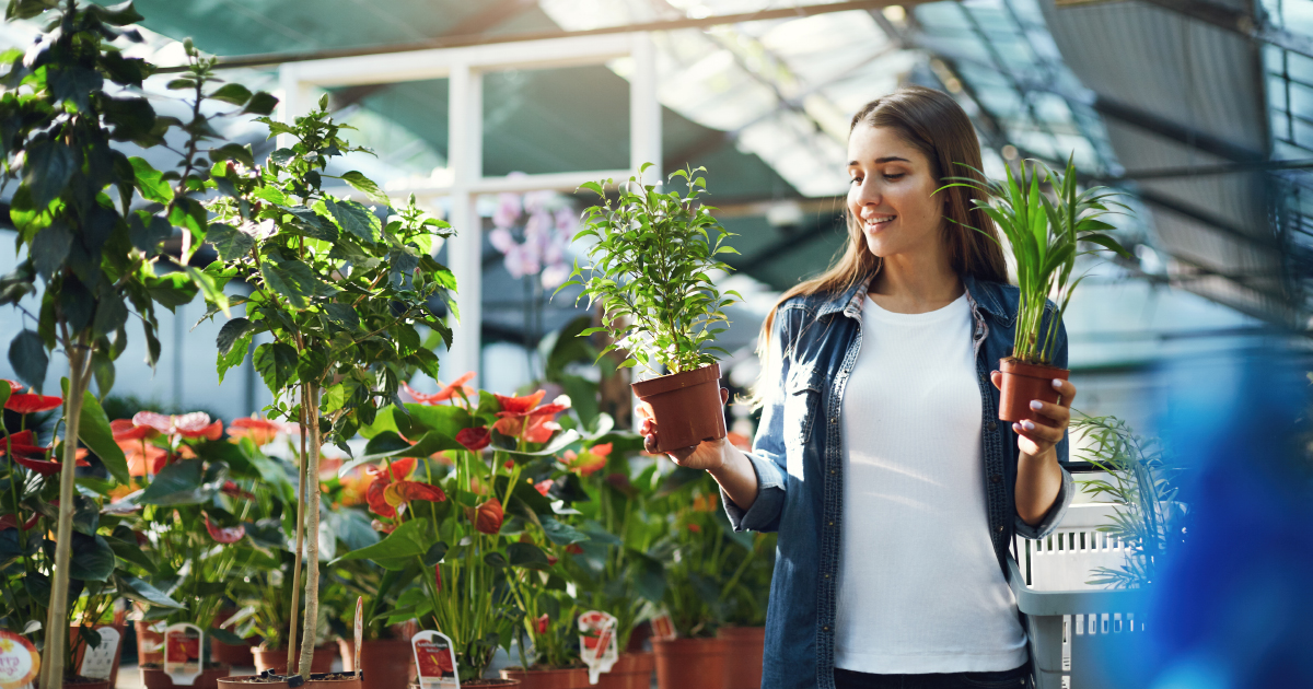 Earth Alive Announces Canadian Agreement for Distribution in Over 1,000 ...